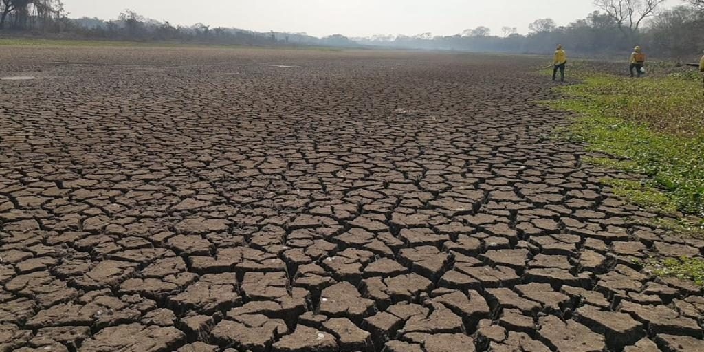 Estiagem Põe Em Emergência 14 Cidades Do Pantanal Em Ms Jornal Do Oeste