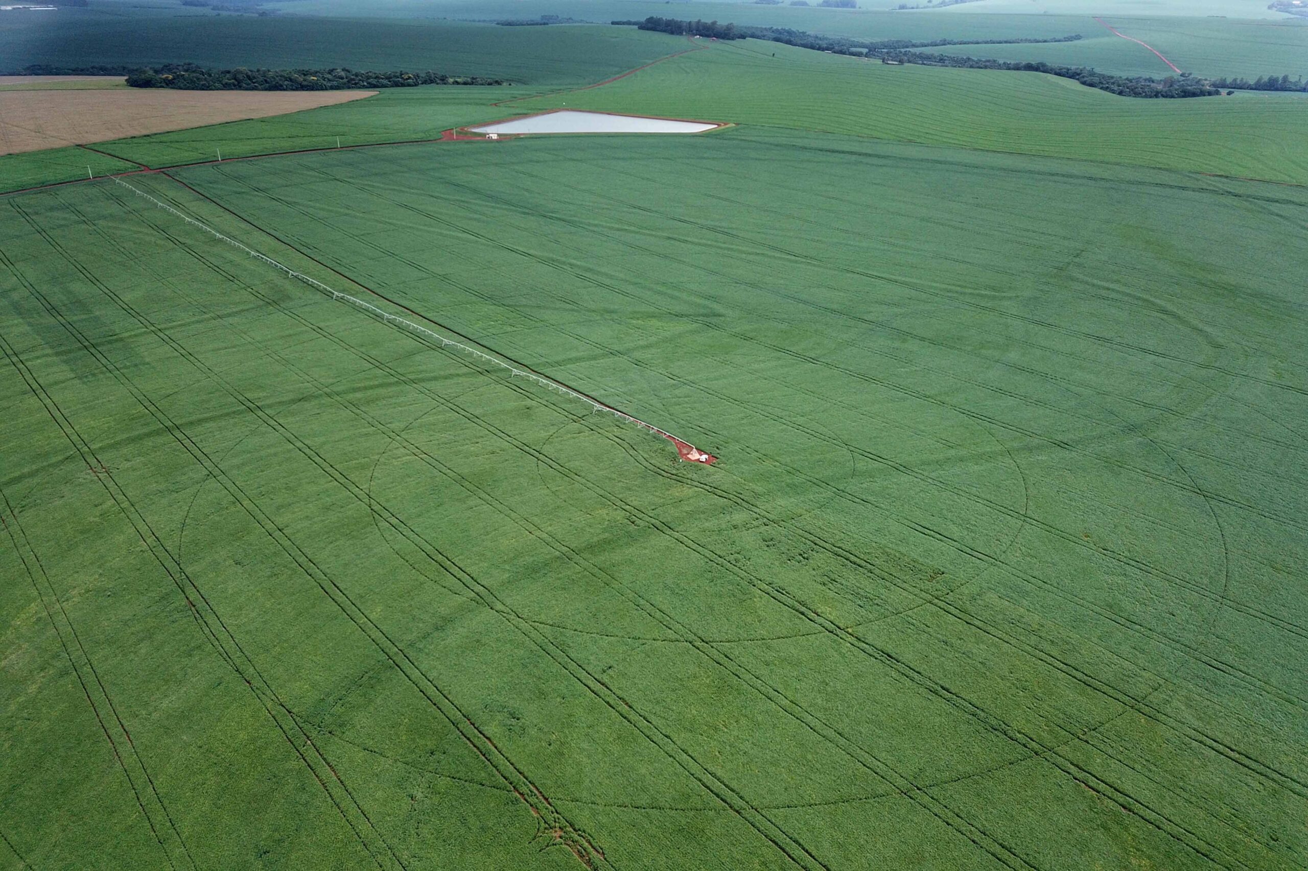 Plano Safra nacional terá R$ 475,5 bilhões; agricultura familiar fica ...